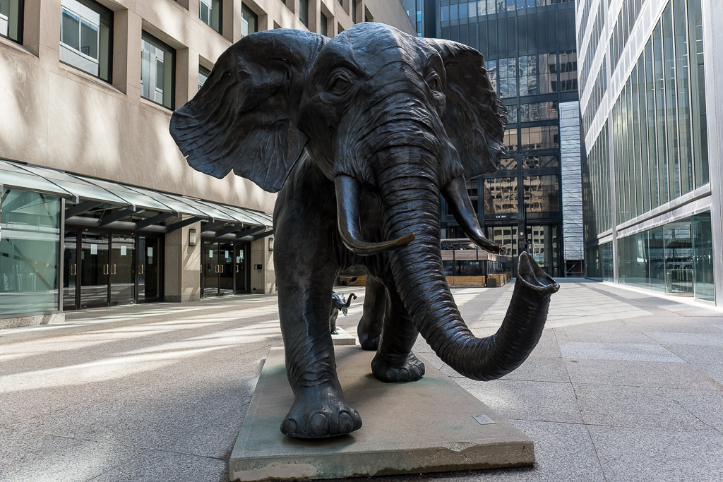 Tembo, Mother of Elephants – TO Cityscapes