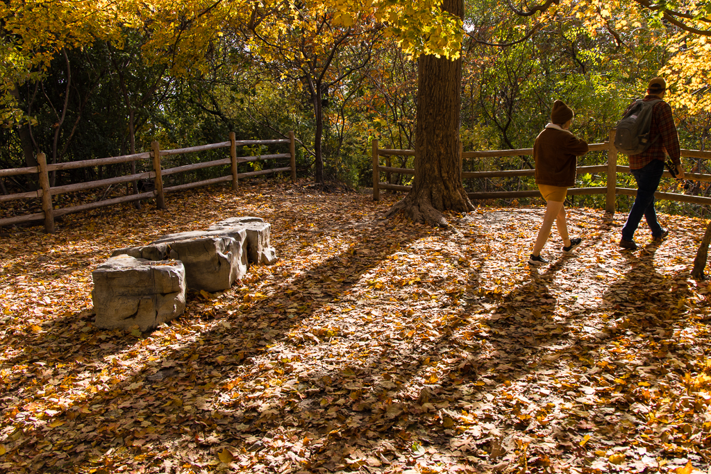 Crothers Woods – TOcityscapes