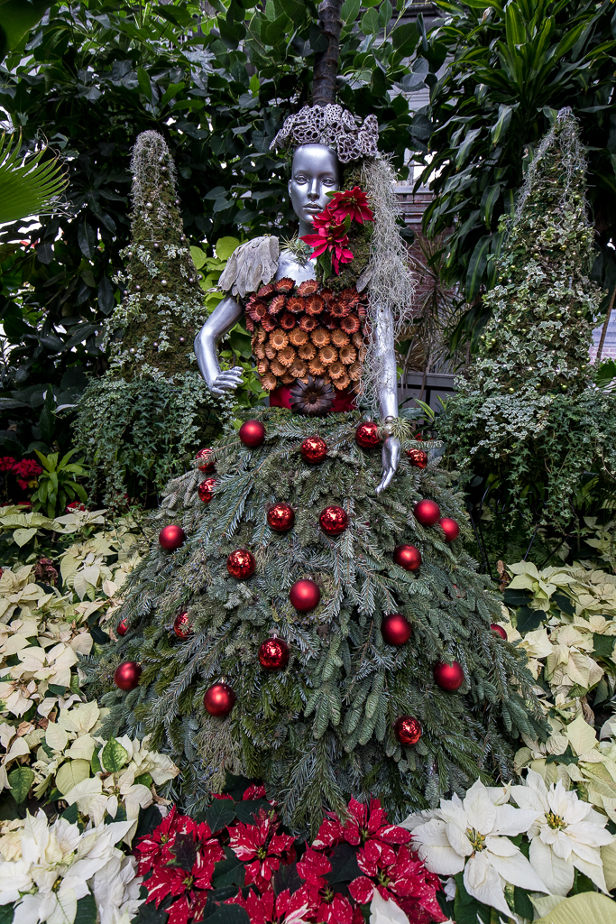 Winter Flower Show at Allan Gardens Conservatory – TO Cityscapes