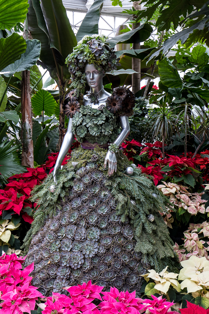 Winter Flower Show at Allan Gardens Conservatory – TO Cityscapes