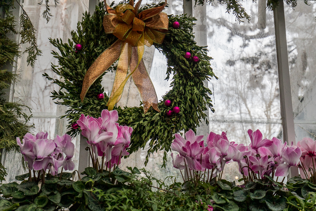 Winter Flower Show at Allan Gardens Conservatory – TO Cityscapes