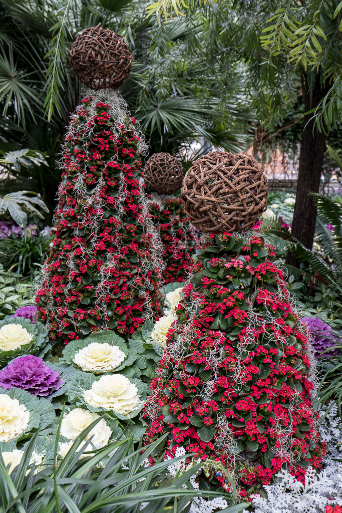 Winter Flower Show at Allan Gardens Conservatory – TO Cityscapes